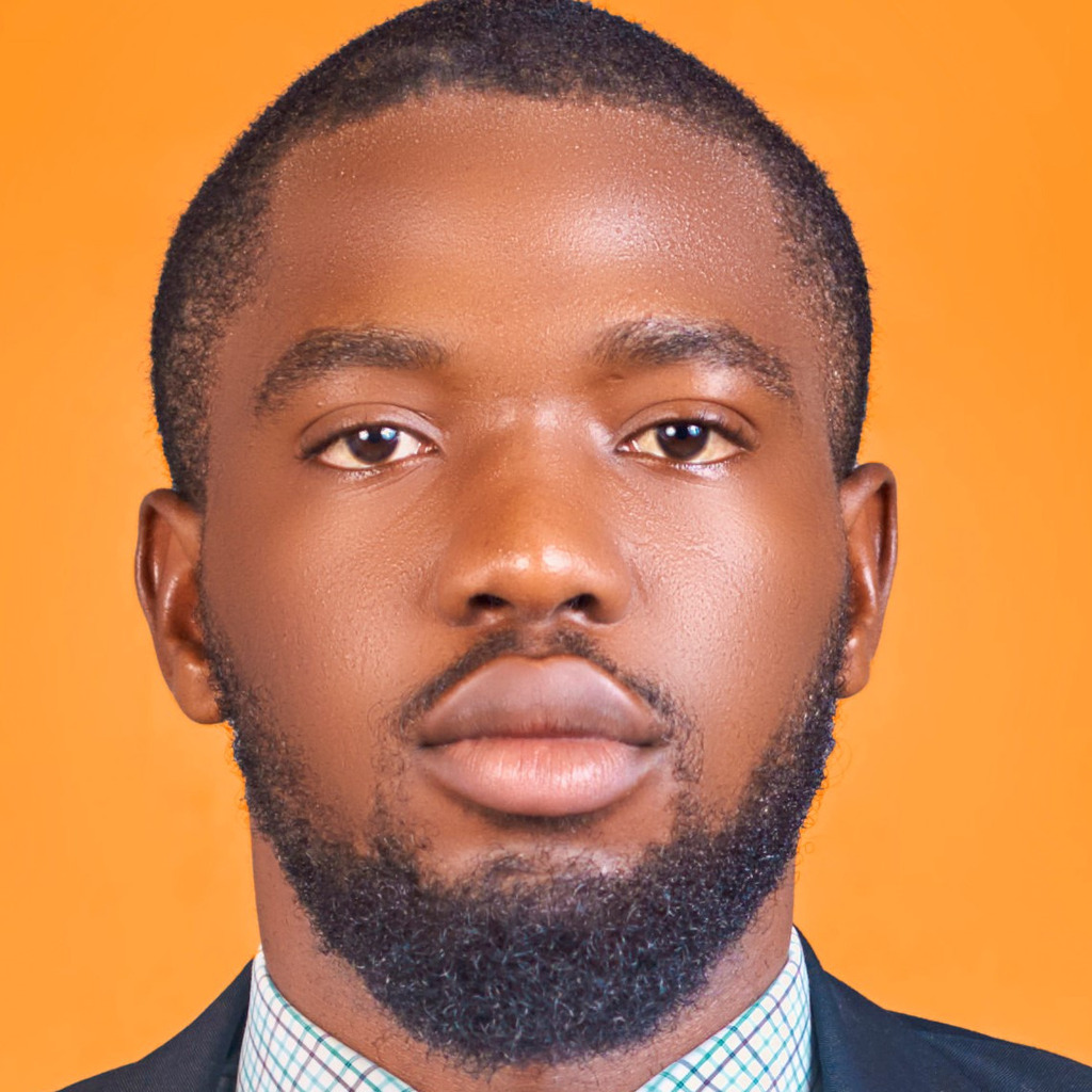 Dominic Azuka` Full Stack Developer Ficoven Investment Limited Xing